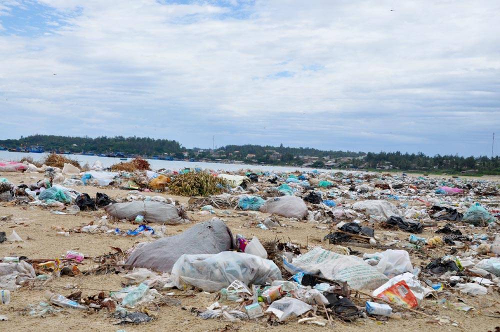 International guests help clean up Da Nang beach - Vina TS